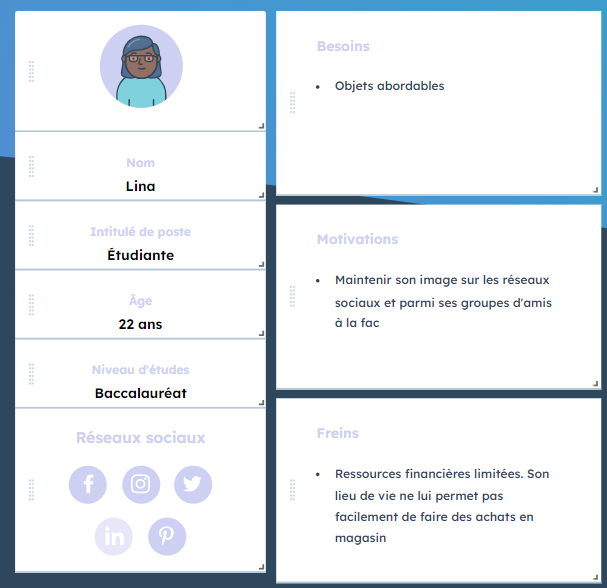 7 exemples de personas pour établir le profil de votre client idéal - HubSpot